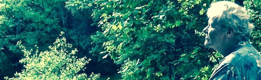 The New Dharma Bums - The Return Trip